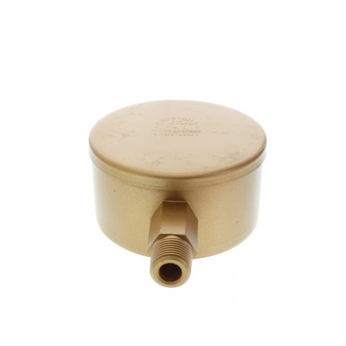 Gorton G2 No. 2 Straight Air Eliminator - SupplyHouse.com