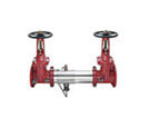 RPZ Backflow Preventers, Assemblies & Valves - Watts RPZ - SupplyHouse.com