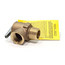 0342671 - Watts 0342671 - M335M1, 3/4" Male Pressure Relief Valve
