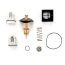 0887283 - Watts 0887283 - Total Repair Kit for Watts 3/4" and 1" 009 ...