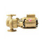 102231LF - Bell & Gossett 102231LF - 1/6 HP, HV AB Series HV Bronze ...