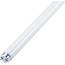 21781 - Sylvania 21781 - FO32/841/ECO OCTRON T8 Fluorescent Lamp, 32 ...