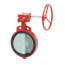 310300-11010390 - Bray 310300-11010390 - 3" Bray S31 Lug Type Valve