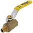 40530W - Webstone 40530W - 1/4" MIP x FIP Full Port Forged Brass Ball ...
