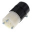 5269-C - Leviton 5269-C - Industrial Grade Connector, 5A, NEMA 5-15R ...