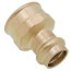 79305 - Viega 79305 - 1/2" ProPress x 3/4" Female ProPress Adapter ...