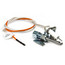 9006666015 - AO Smith 9006666015 - Pilot Assembly, Natural Gas (HSI ...