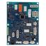 100312667 - AO Smith 100312667 - PCP-IEC Blue Board, 100312667