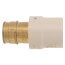 BRCPEF100-NL - Raven BRCPEF100-NL - 1" Expansion PEX x CPVC Socket ...