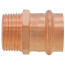 CPM100 - Bluefin CPM100 - 1" Press x Male Copper Adapter