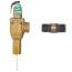 F121431 - Watts F121431 - 1" LFLL40XL Automatic Reseating T&P Relief ...