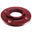 F14200 - Bell & Gossett F14200 - 2" Cast Iron Flange