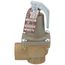 F274598 - Watts F274598 - 3/4" 174A Relief Valve w/ Flood Sensor ...