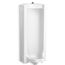 K-25039-T-0 - Kohler K-25039-T-0 - Branham Full Stall Washout Urinal w ...