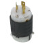 L520P - Pass & Seymour L520P - Turnlok Industrial Grade Plug, 20A, NEMA ...
