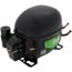 NF7CLX-1 - Secop NF7CLX-1 - 1,543 BTU Reciprocating Compressor 1/3 HP ...