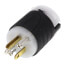PS5266X - Pass & Seymour PS5266X - Extra-Hard Use Spec-Grade Plug, 2P ...