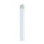 S8402 - Satco S8402 - 17 Watt - T8 - Fluorescent Bulb 3500K Neutral ...