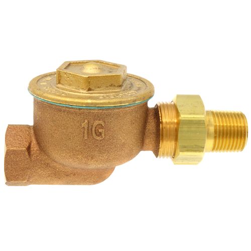 0036041 - Watts 0036041 - 1GSW, 1/2" Straight Radiator Steam Trap