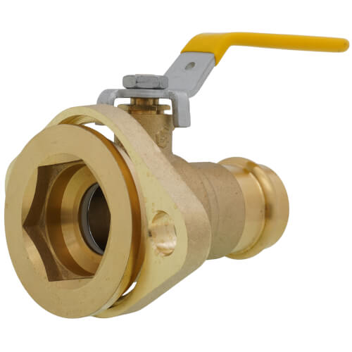 0069001 - Watts 0069001 - 1" Press Isolation Pump Flange Valve with ...