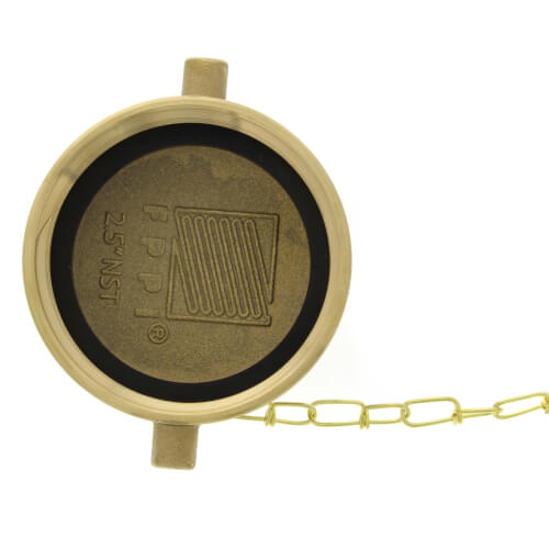 07-250-00 - FPPI 07-250-00 - 2-1/2" NST Cap With Chain (Rough Brass)