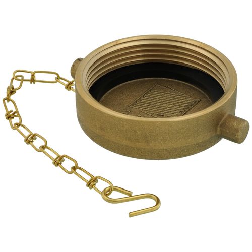 07-250-00 - FPPI 07-250-00 - 2-1/2" NST Cap With Chain (Rough Brass)