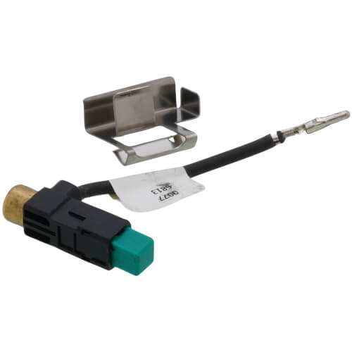100109221 - AO Smith 100109221 - Piezo Igniter W/ Bracket, 100109221