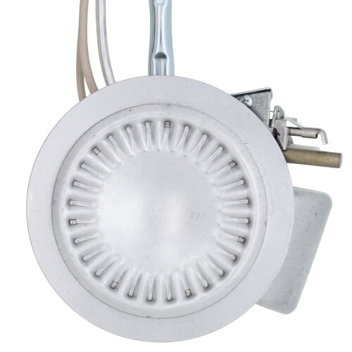 100112342 - AO Smith 100112342 - Burner Assembly, 100112342