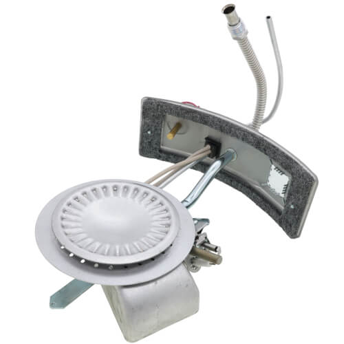 100112342 - AO Smith 100112342 - Burner Assembly, 100112342