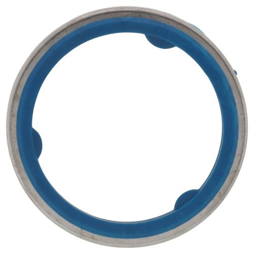 5265 - T&B 5265 - 1-1/4" Liquid Tight Sealing Gasket w/ 316 Stainless ...