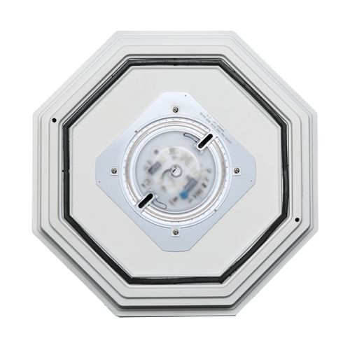 62-1420 - Nuvo 62-1420 - LED Spider Cage Fixture Black Finish w ...