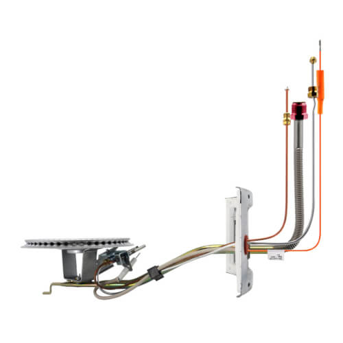 AM41868 - Rheem AM41868 - Burner Assembly - LP, AM41868