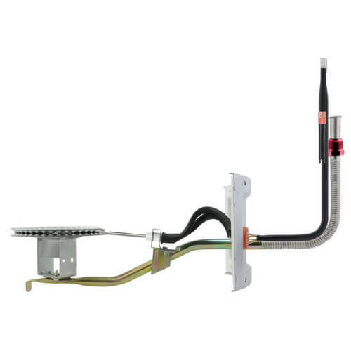 AM42352 - Rheem AM42352 - Burner Assembly Door - 20" LP, AM42352