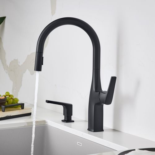 443020-BLANCO - Blanco 443020-BLANCO - Rivana High-Arc Pull-Down Dual ...