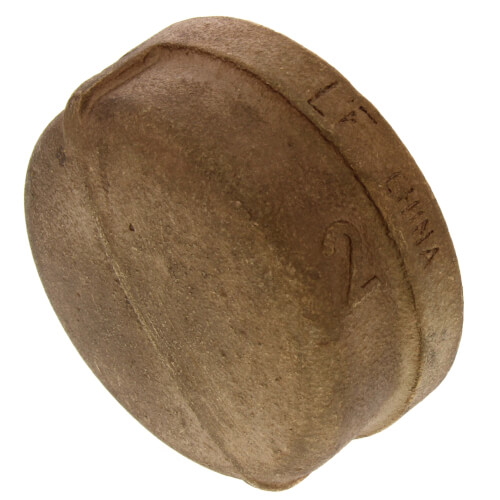 BRCP200 - Bluefin BRCP200 - 2" Threaded Brass Cap (Lead Free)