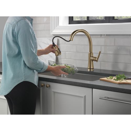 9179-CZ-DST - Delta 9179-CZ-DST - Coranto Single Handle Pull Down ...