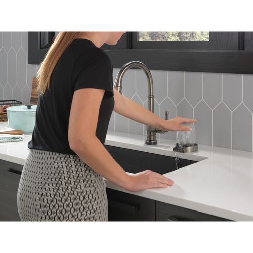 GR250-KS - Delta GR250-KS - Metal Glass Rinser, 1.2 GPM (Black ...