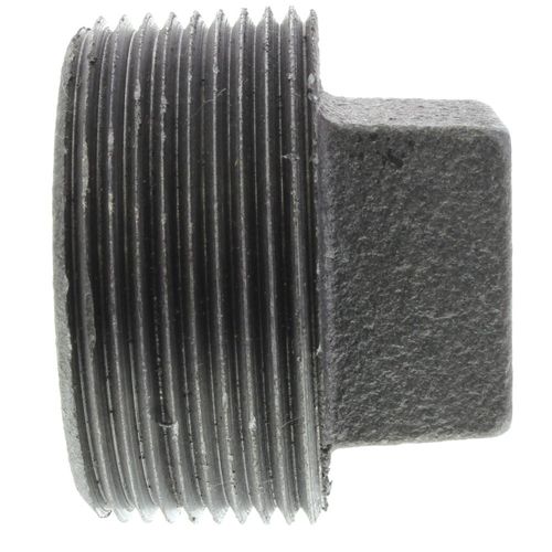 FBPL1-1/2 - Ward FBPL1-1/2 - 1-1/2" Black Regular Cored Plug