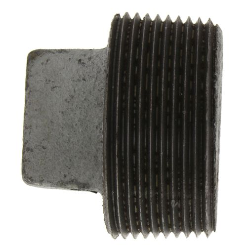 FGPL1-1/2 - Ward FGPL1-1/2 - 1-1/2" Galv Regular Cored Plug