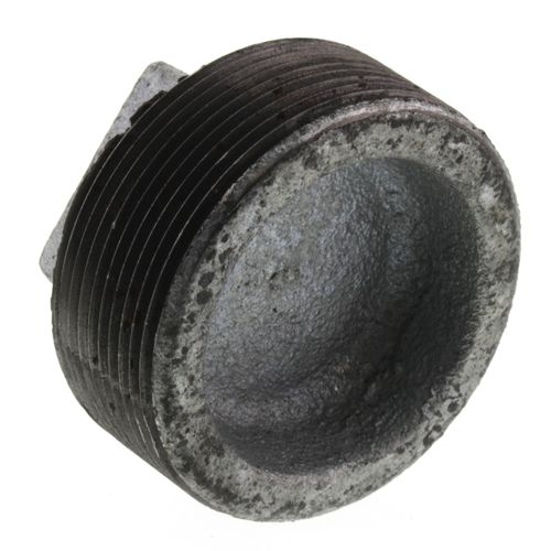 FGPL2 - Ward FGPL2 - 2" Galv Regular Cored Plug