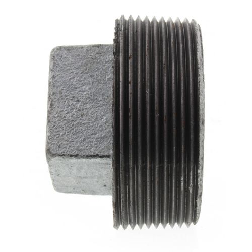 FGPL2 - Ward FGPL2 - 2" Galv Regular Cored Plug