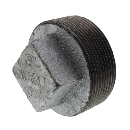 FGPL2 - Ward FGPL2 - 2" Galv Regular Cored Plug