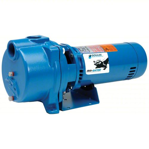 GT20 - Goulds Pumps GT20 - IRRI-GATOR Self-Priming Centrifugal Pump, 2 ...