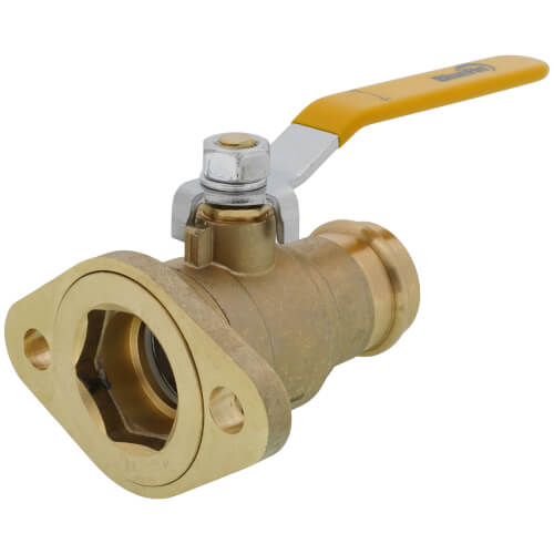 IFPRR125 - Bluefin IFPRR125 - 1-1/4" Press Isolation Flange w/ Rotating ...