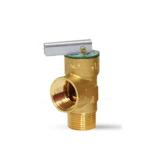 T101ASG - Eccotemp T101ASG - 3/4" Service Valve Kit for Water Heaters ...