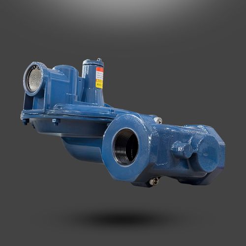 NGR04-CED - Norgas NGR04-CED - 2" Gas Regulator, 3/4" Orifice, Blue 9 ...