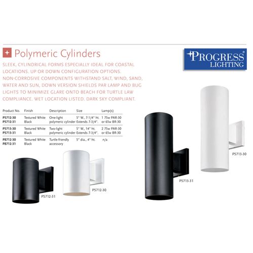 P5712-31 - Progress Lighting P5712-31 - 5" Non-Metallic Downlight Wall ...