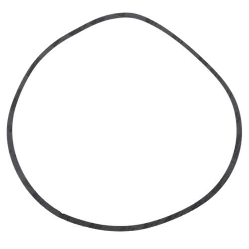 P80767 - Bell & Gossett P80767 - Volute Gasket, P80767