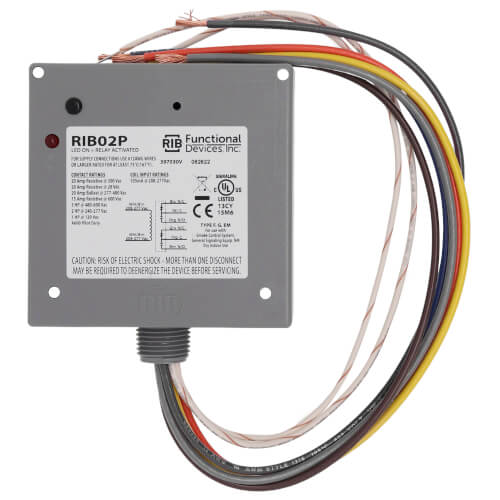 RIB02P - Functional Devices RIB02P - Enclosed Relay 20 Amp DPDT with ...