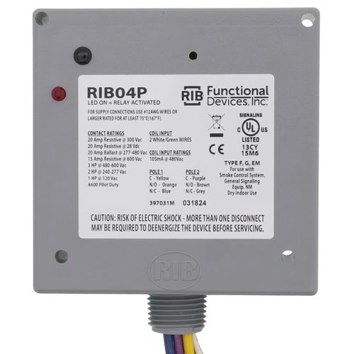RIB04P - Functional Devices RIB04P - Enclosed Relay 20 Amp DPDT with ...